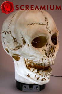 Giant Skull Animatronic Lamp Prop 20-Inch-Tall Heavy Duty Polyresin Ha ...