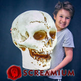 Giant Skull Animatronic Prop 20-Inch-Tall Halloween Decoration – SCREAMIUM