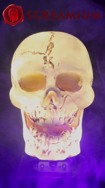 Giant Skull Animatronic Prop 20-Inch-Tall Heavy Duty Polyresin Hallowe ...