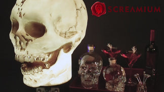 Giant Skull Animatronic Prop 20-Inch-Tall Heavy Duty Polyresin Hallowe ...