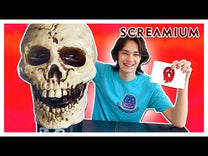 Giant Skull Animatronic Prop 20-Inch-Tall Heavy Duty Polyresin Hallowe ...